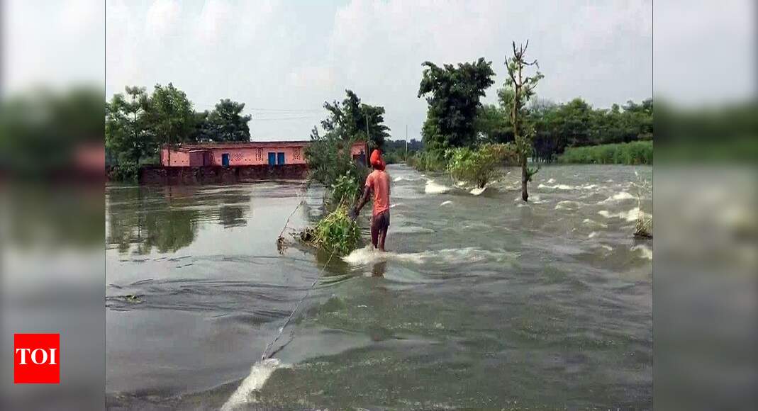 Tirhut canal breaches embankment in Bihar's Muzaffarpur | Patna News ...