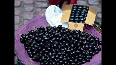 Delhi: When tongue craves for something deep purple, jamun is worth its ...
