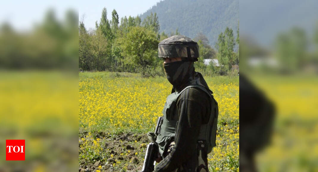 Search operation launched to trace Territorial Army jawan missing since ...