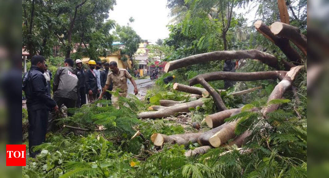 Rain in Karnataka: Heavy rain disrupts normal life; red alert sounded ...