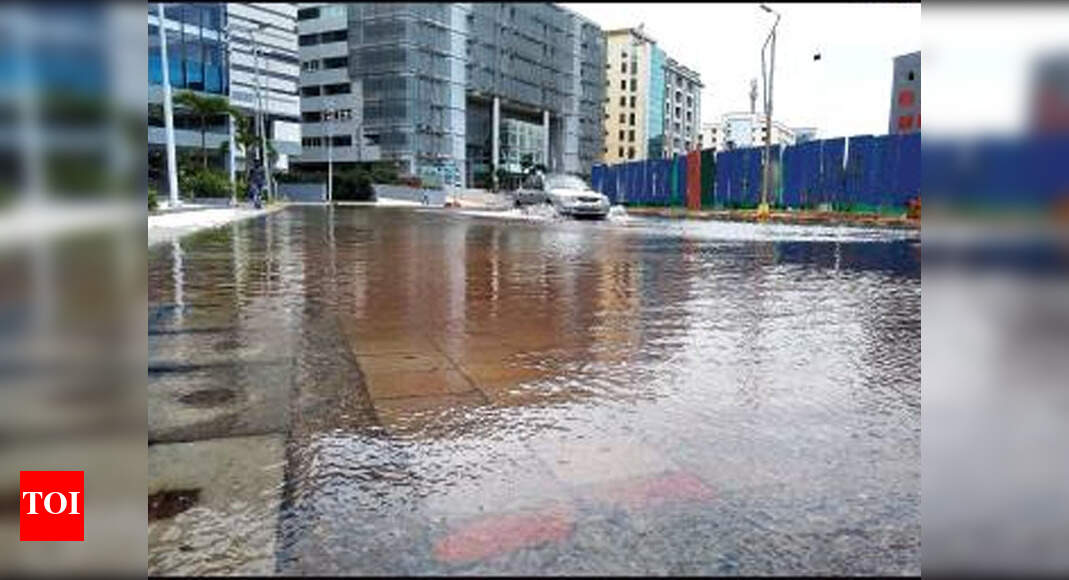 Heavy rain claims one life, brings down trees | Goa News - Times of India