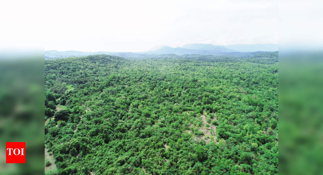 Guleli locals form group to garner support for IIT project | Goa News ...