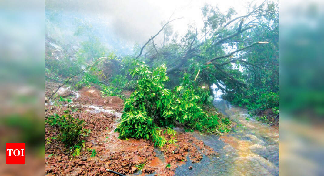Goa: Landslide at Chorla Ghat disrupts traffic for six hours | Goa News ...