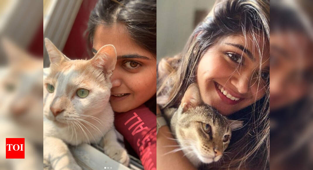 Isha Keskar urges fans to help stray animals during monsoon - Times of ...