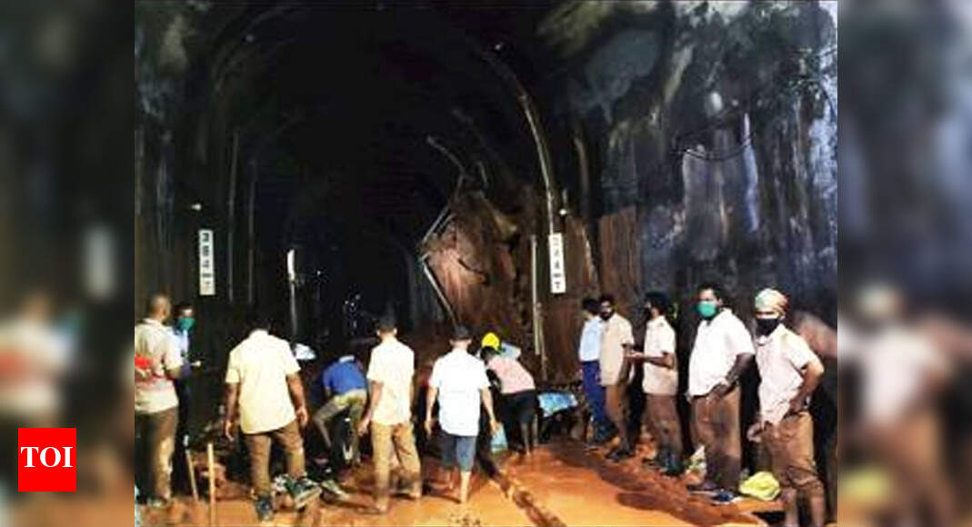 Goa: Portion of Pernem rail tunnel caves in, trains diverted, no ...