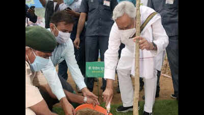 Bihar government plants 3.47 crore saplings against target of 2.51 ...