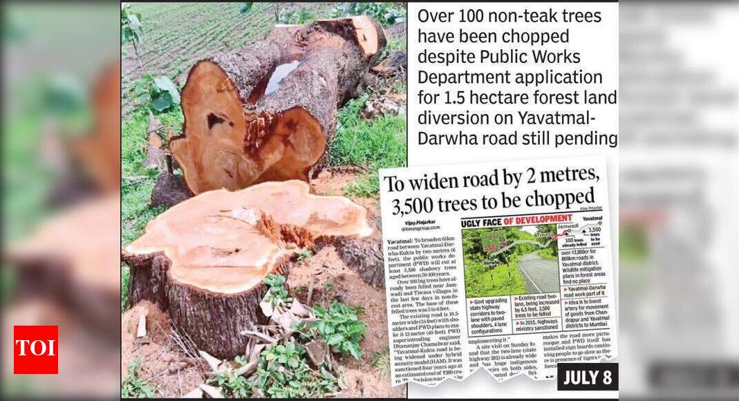 Felling nod for Ytl-Darwha road widening violates norms | Nagpur News ...