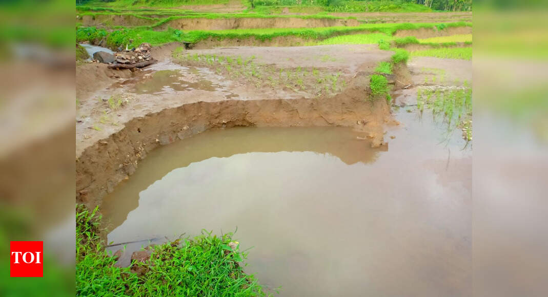 Monsoon in Karnataka: For third year, monsoon leaves trail of ...