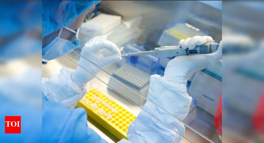 Turkey Coronavirus Vaccine: Turkey becomes 3rd country to develop Covid ...