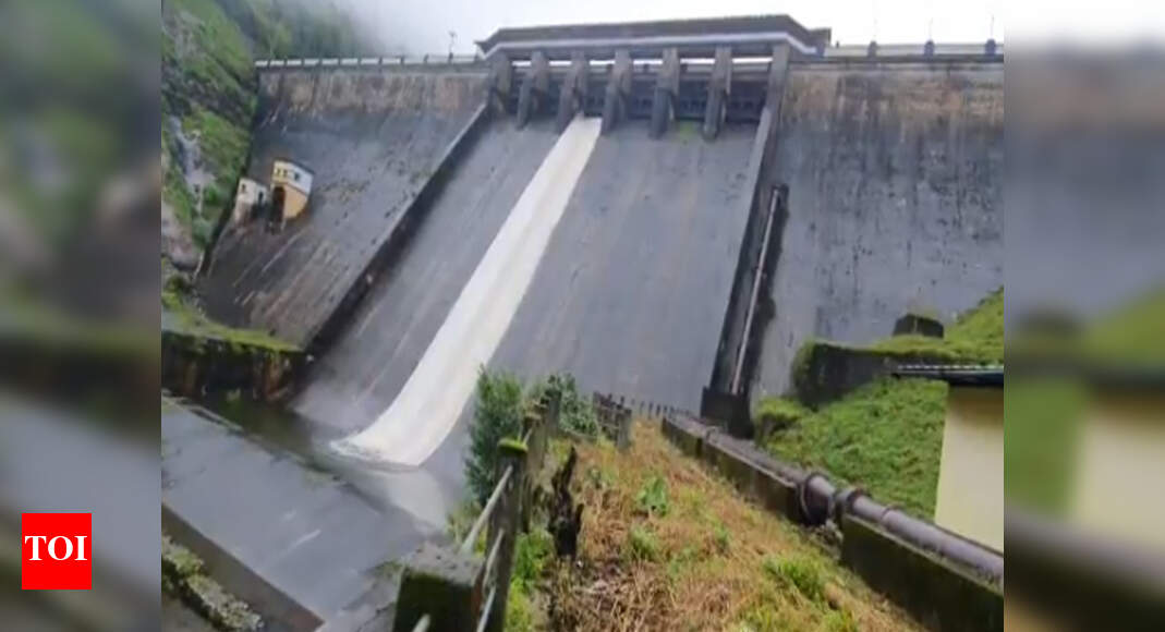 Shutters of Pamba dam in Kerala shut | Kochi News - Times of India