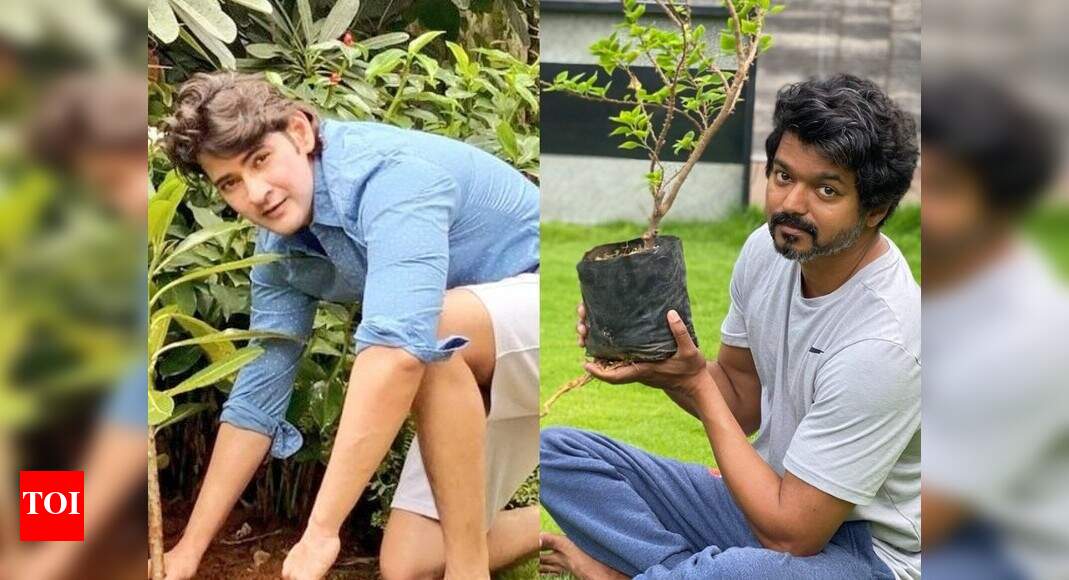 Buzz: Is Vijay and Mahesh Babu coming together for 'Thalapathy 65 ...