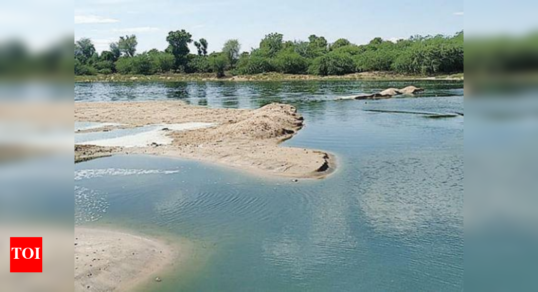 Rajasthan: Effluents from textile units pose threat to Luni River ...