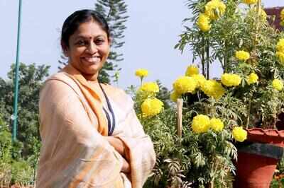 Writer K R Meera offers to quit from MG University post | Kochi News ...