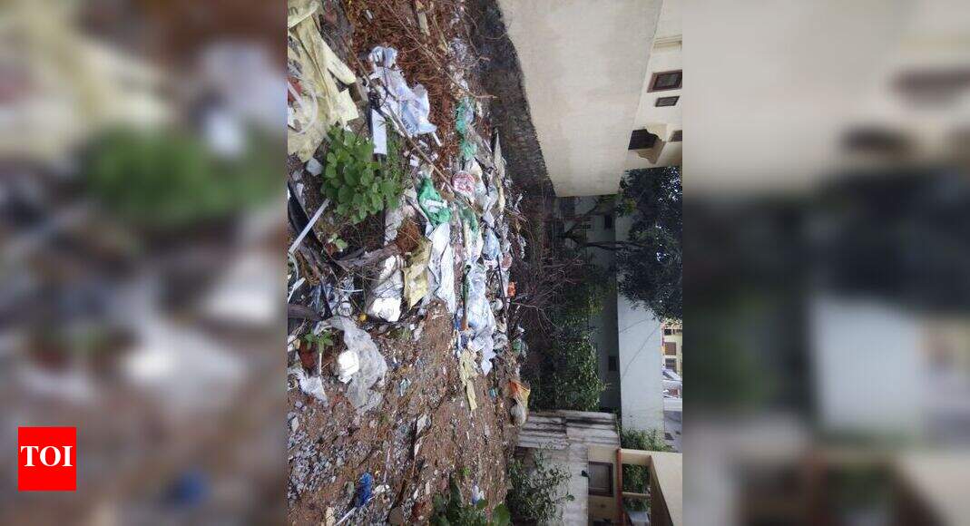 Please stop dumping waste where ever you want - Times of India