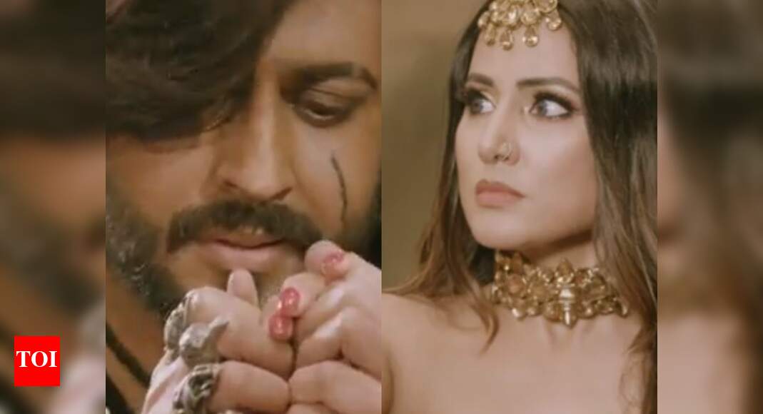 Naagin 5 update, August 15: Cheel Aakesh has his eyes on Sarvashreshta ...