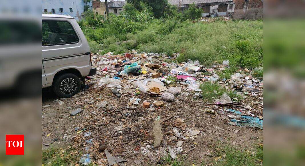 Garbage on the road - Times of India