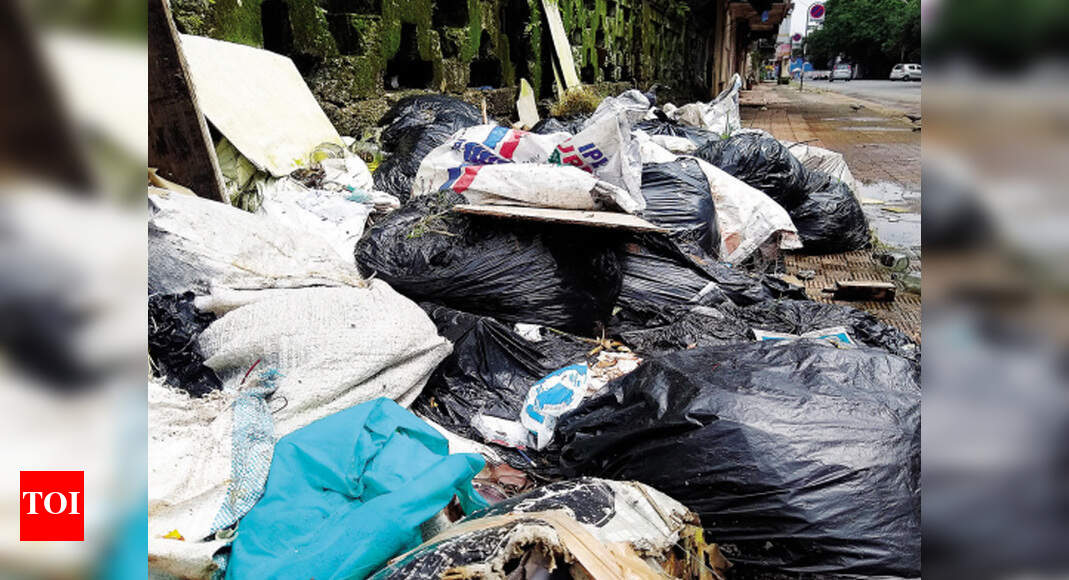 Goa: Pollution board cracks whip over garbage handling by civic bodies ...