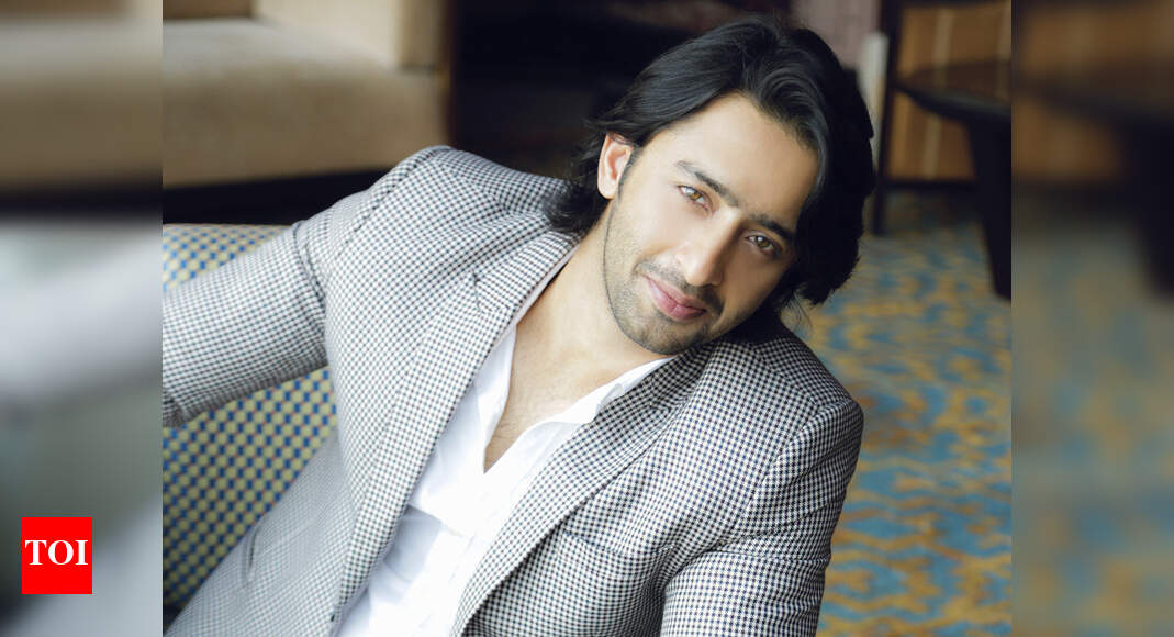 Actor Shaheer Sheikh finds his on-screen character Abir close to him in ...