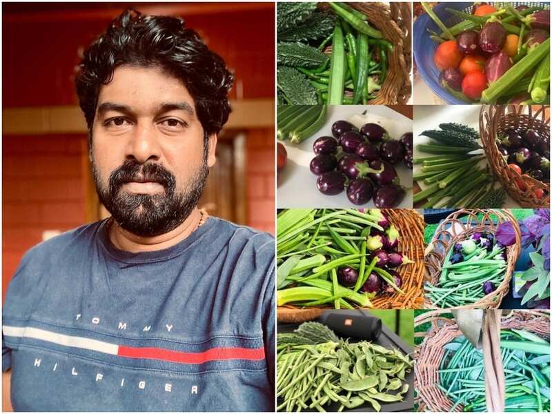joju george home garden: Joju George shares pictures of the harvest ...