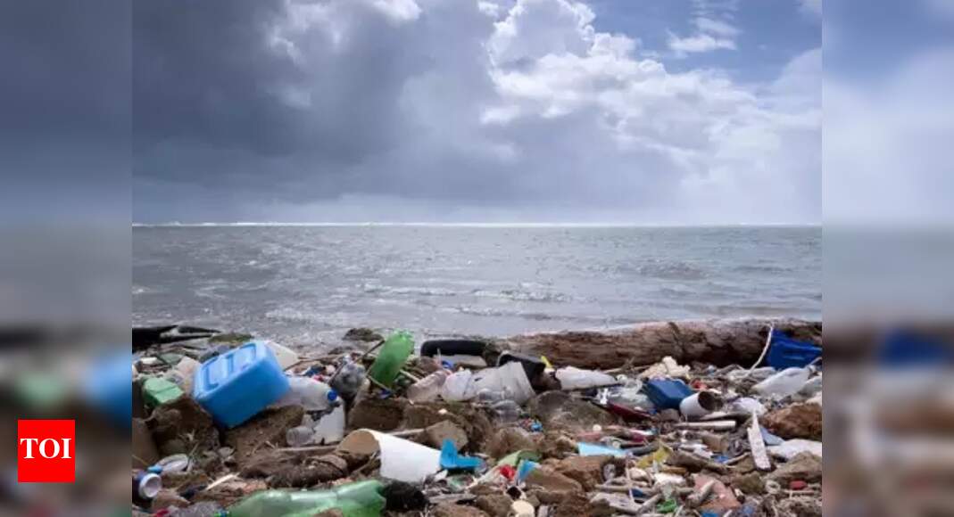 Atlantic plastic levels far higher than thought: Study - Times of India