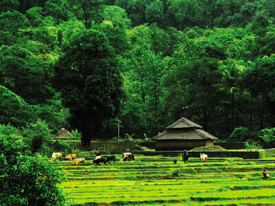 Goa yet to finalise 200 sqkm more of private forest area | Goa News ...