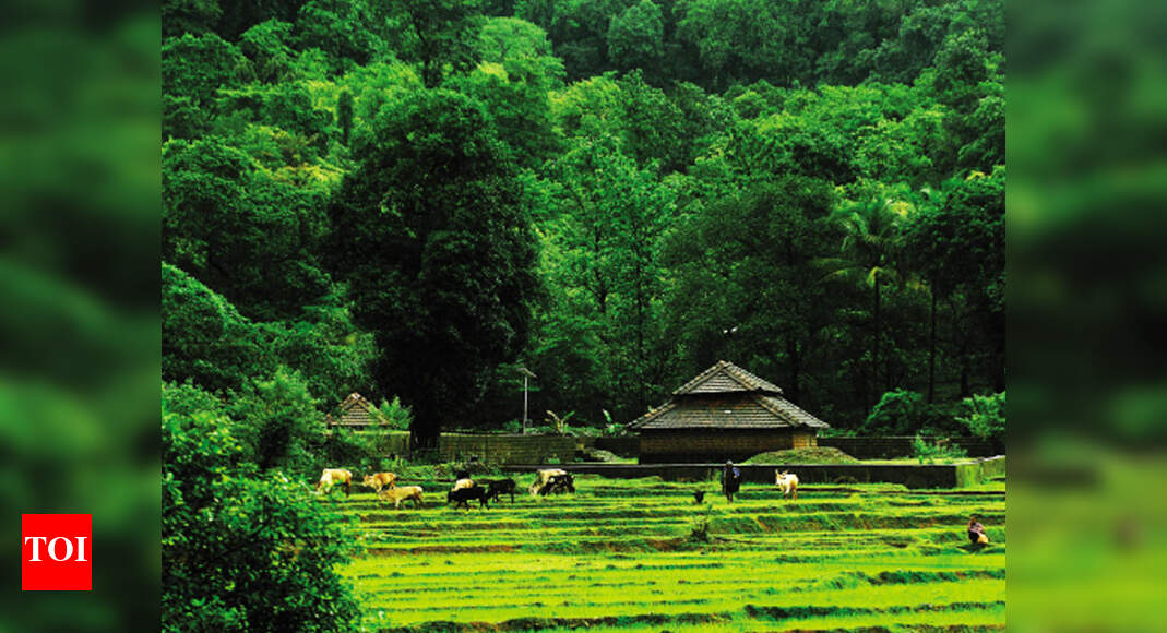 Goa yet to finalise 200 sqkm more of private forest area | Goa News ...