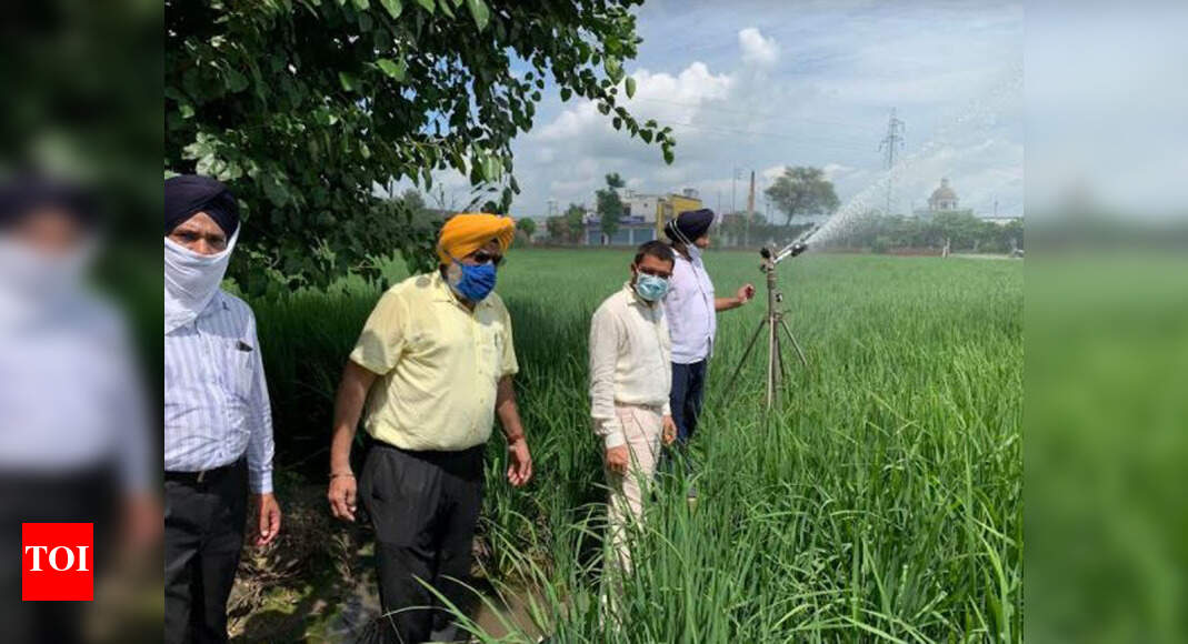 Punjab: Rain gun being used to irrigate paddy fields helps save 50% ...