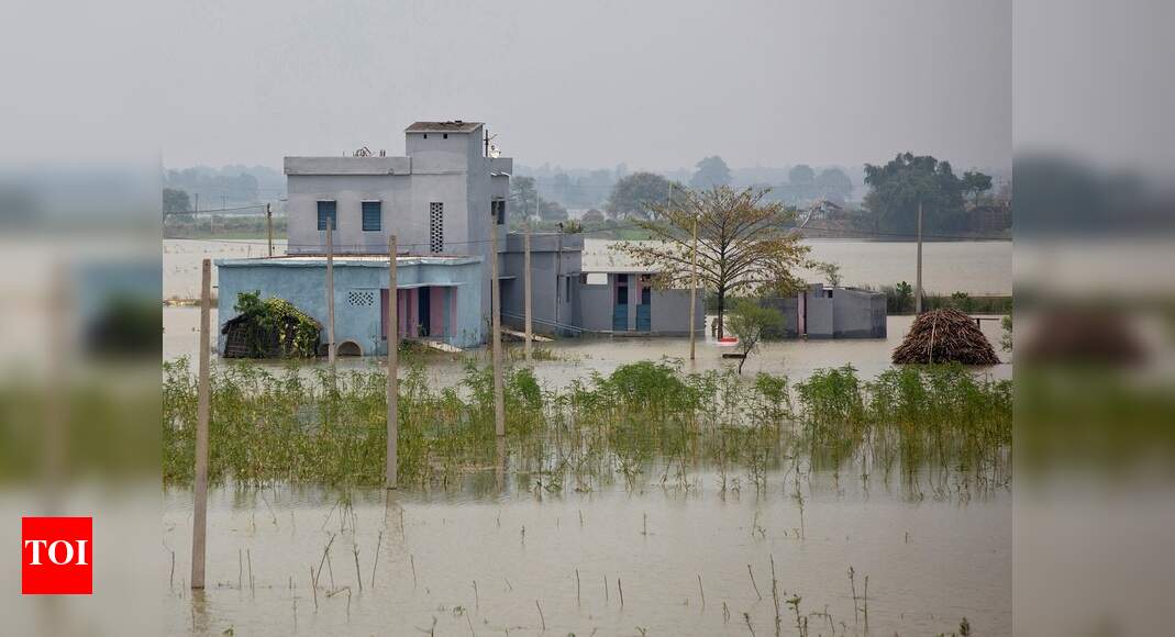 Bihar flood situation grim, 83.62 lakh people affected | India News ...