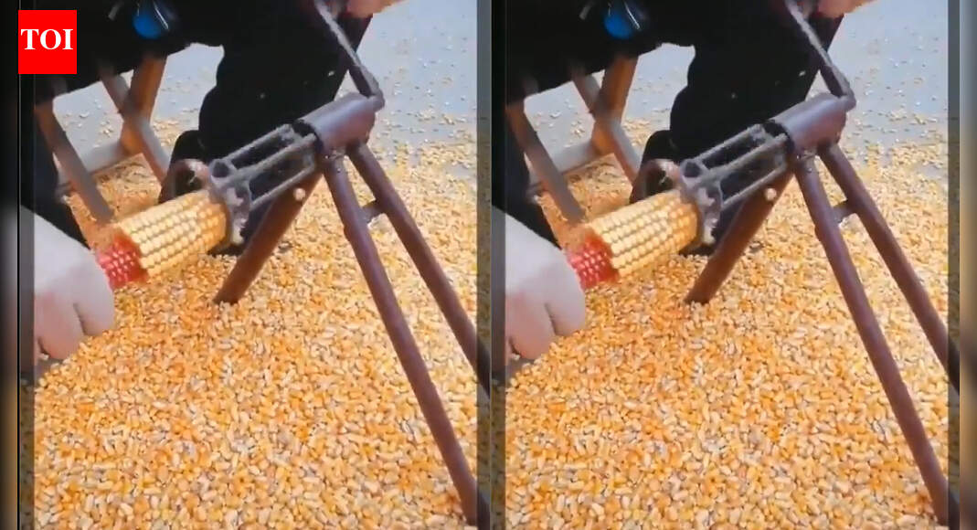 How an apparatus can extract corns from the cob in just a few seconds