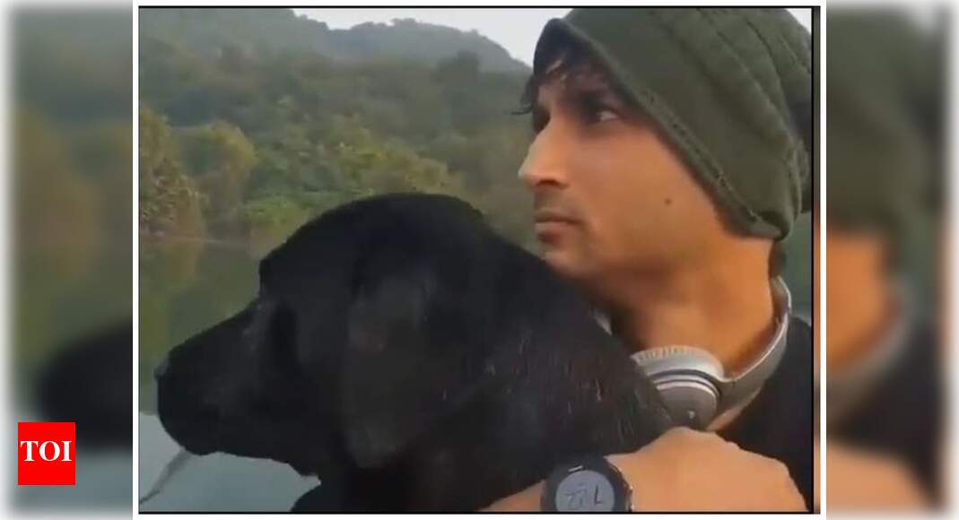 THIS video of Sushant Singh Rajput's dog Fudge looking for the actor ...