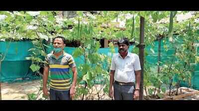 Ullal CMC’s lockdown initiative aims at zero-waste city goal ...