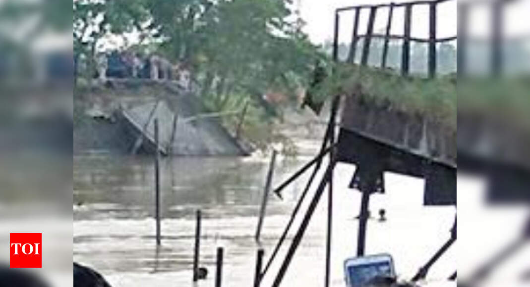 Over 12 fall into river as Araria bridge collapses | Patna News - Times ...