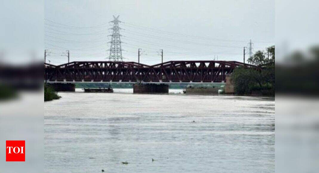 Yamuna River Water Level: Yamuna continues to flow near warning level ...