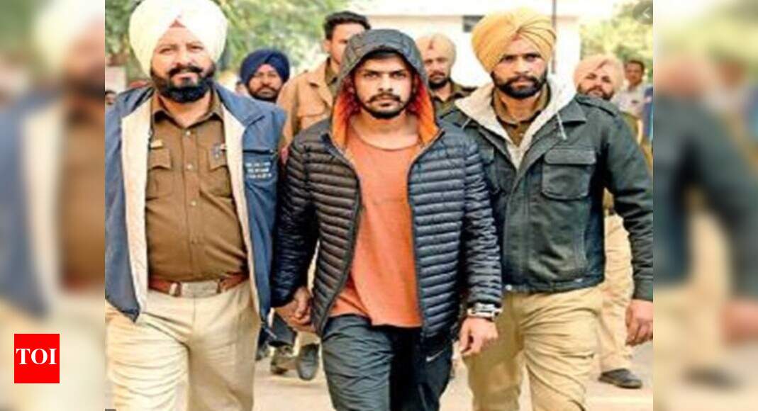 Gangster Lawrence Bishnoi moves HC for protection in case of ...