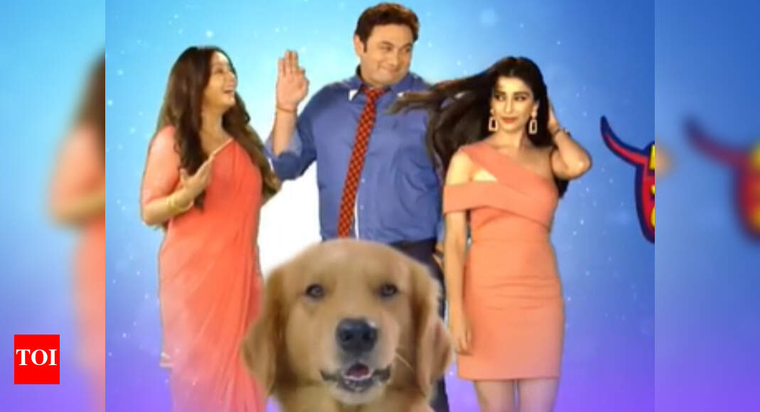 Rajesh Kumar and Nyra Banerjee starrer ‘Excuse Me Madam’ promo is out ...