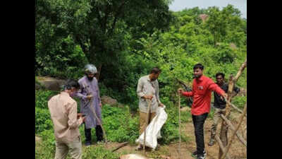 Leopard Kills Calf: Hyderabad: Animal suspected to be leopard kills ...