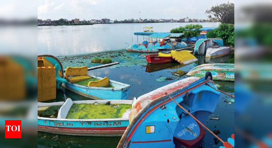 In the pits: Here is how Delhi plans to revive its mega lake | Delhi ...