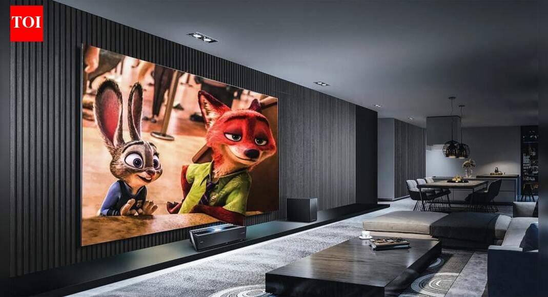 Best flexible projector screens that save space | - The Times Reviews ...