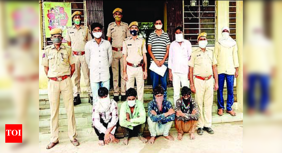 Rajasthan: 60 bovines being transported to MP rescued, 4 held | Jaipur ...