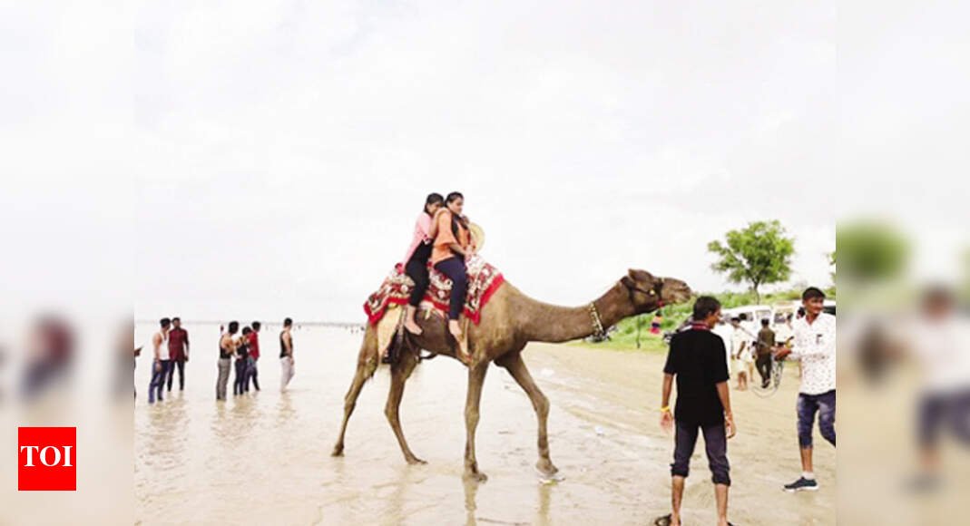 Barmer: A beachy wonder in the middle of desert | Jodhpur News - Times ...