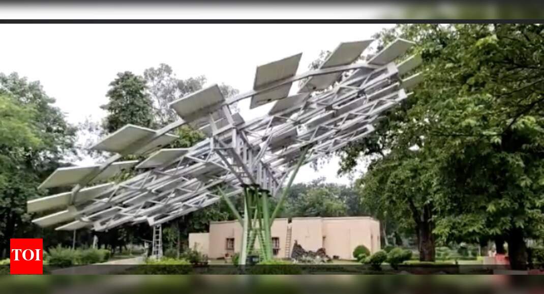 IoT-enabled solar tree ready to revolutionise use of clean energy in ...