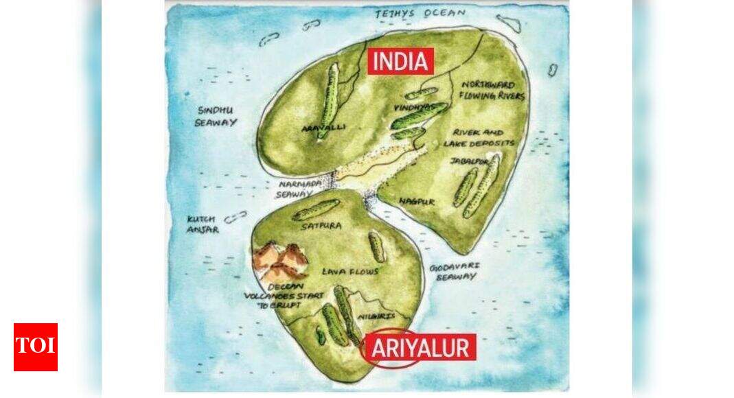 When landlocked Ariyalur was a sea bed | Chennai News - Times of India