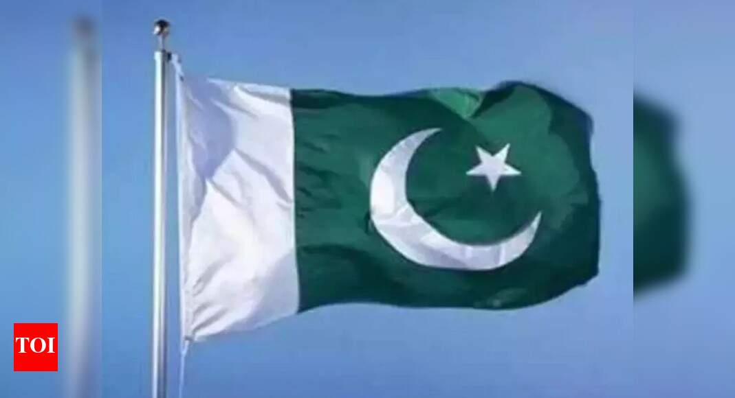 Pakistan directs American blogger Cynthia Ritchie to leave country ...