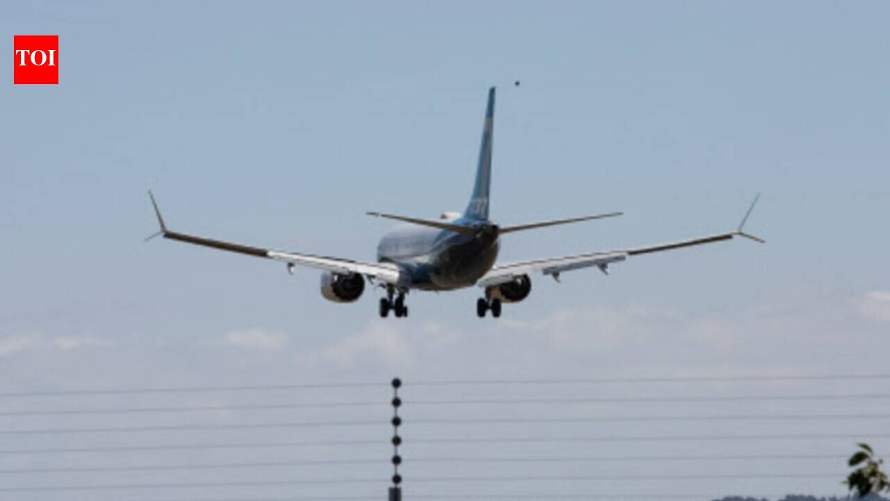 Flight kitchens gear up to serve hot meals to Indian carriers - The ...