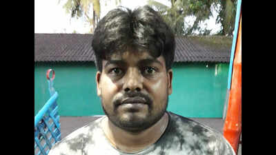 West Bengal: BSF apprehends Bangladeshi woman and trafficker along Indo ...