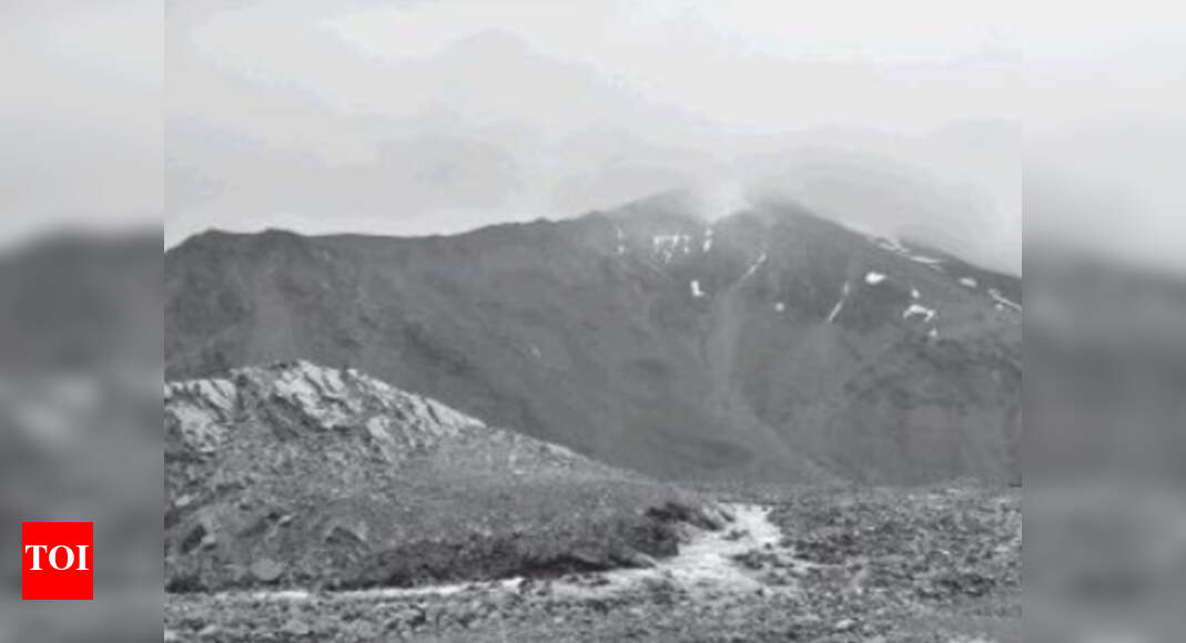 Long-span bridge to make Manali-Leh ride smoother | Shimla News - Times ...