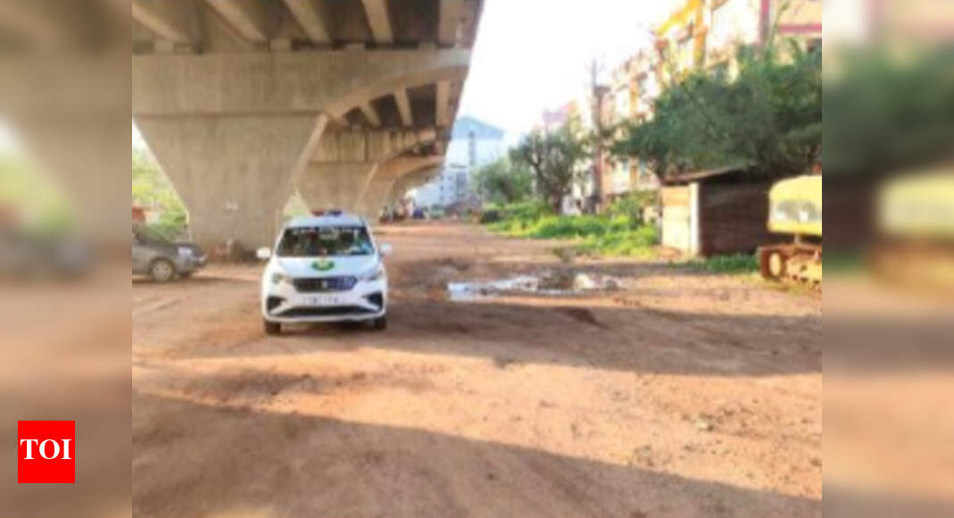 Police crack down on rogues beneath flyover at Baina | Goa News - Times ...