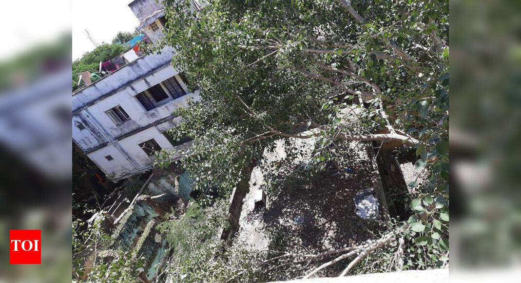 unused plot/partly demolished structure - Times of India