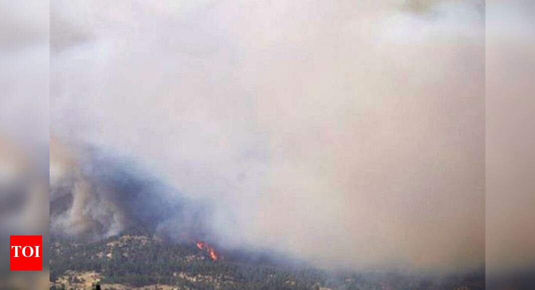 What is Forest fire and Wildfire: All you want to know about wildfire ...