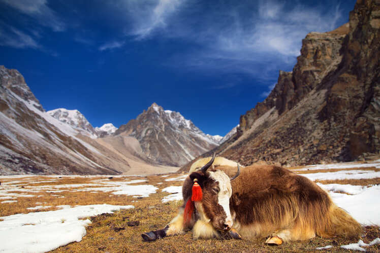 World's most challenging hikes and treks | Times of India Travel